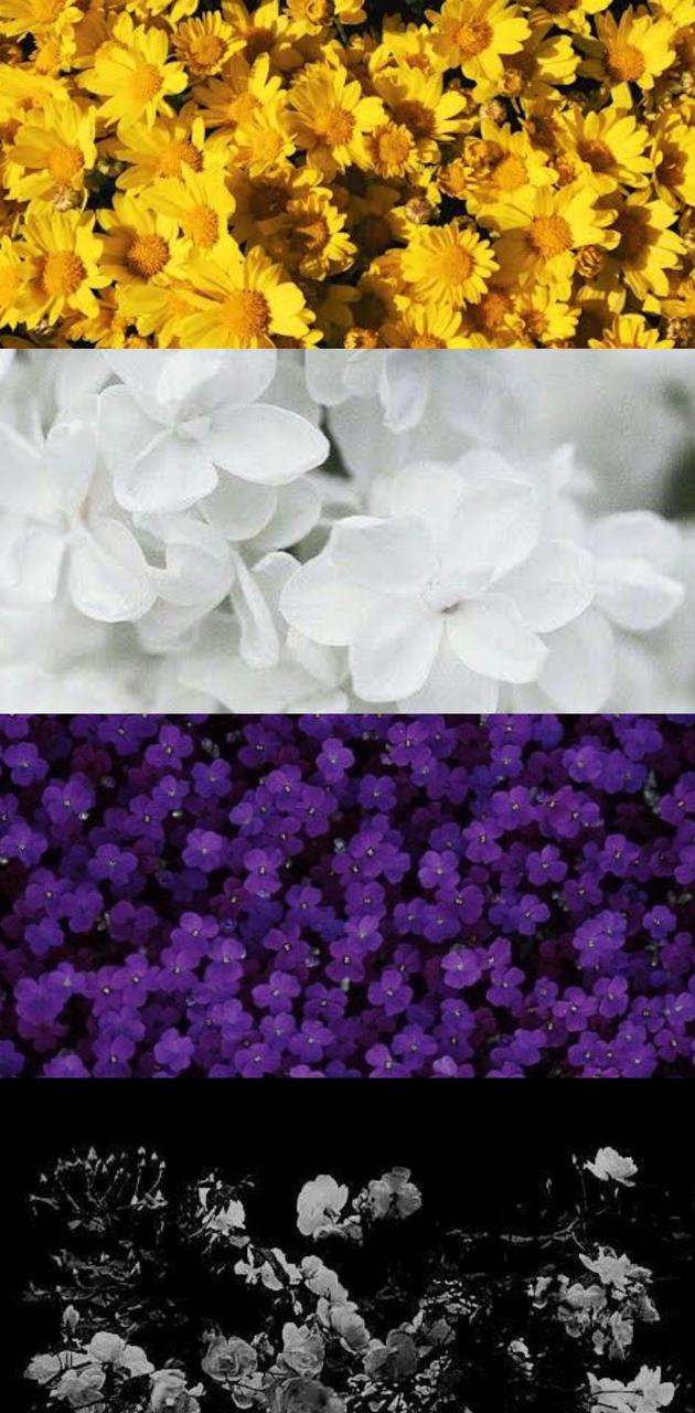 Non Binary Flag Wallpapers - Wallpaper Cave