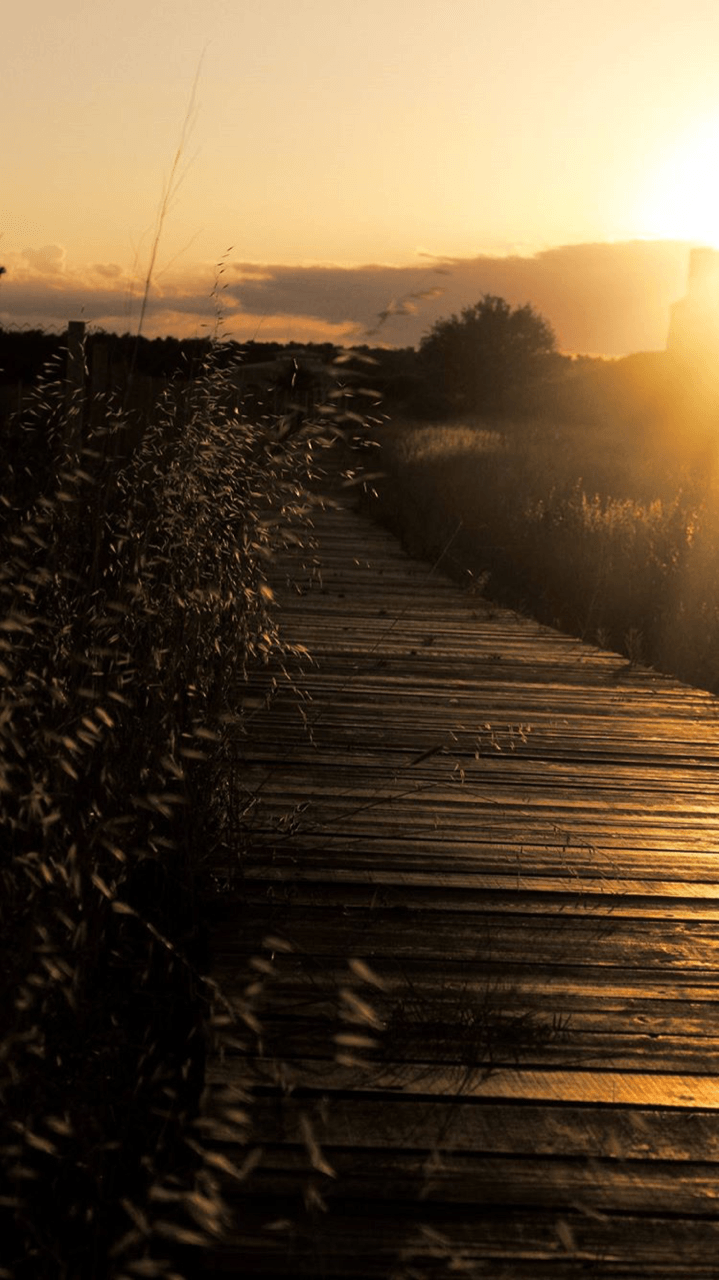 Random Aesthetic Wallpapers - Wallpaper Cave