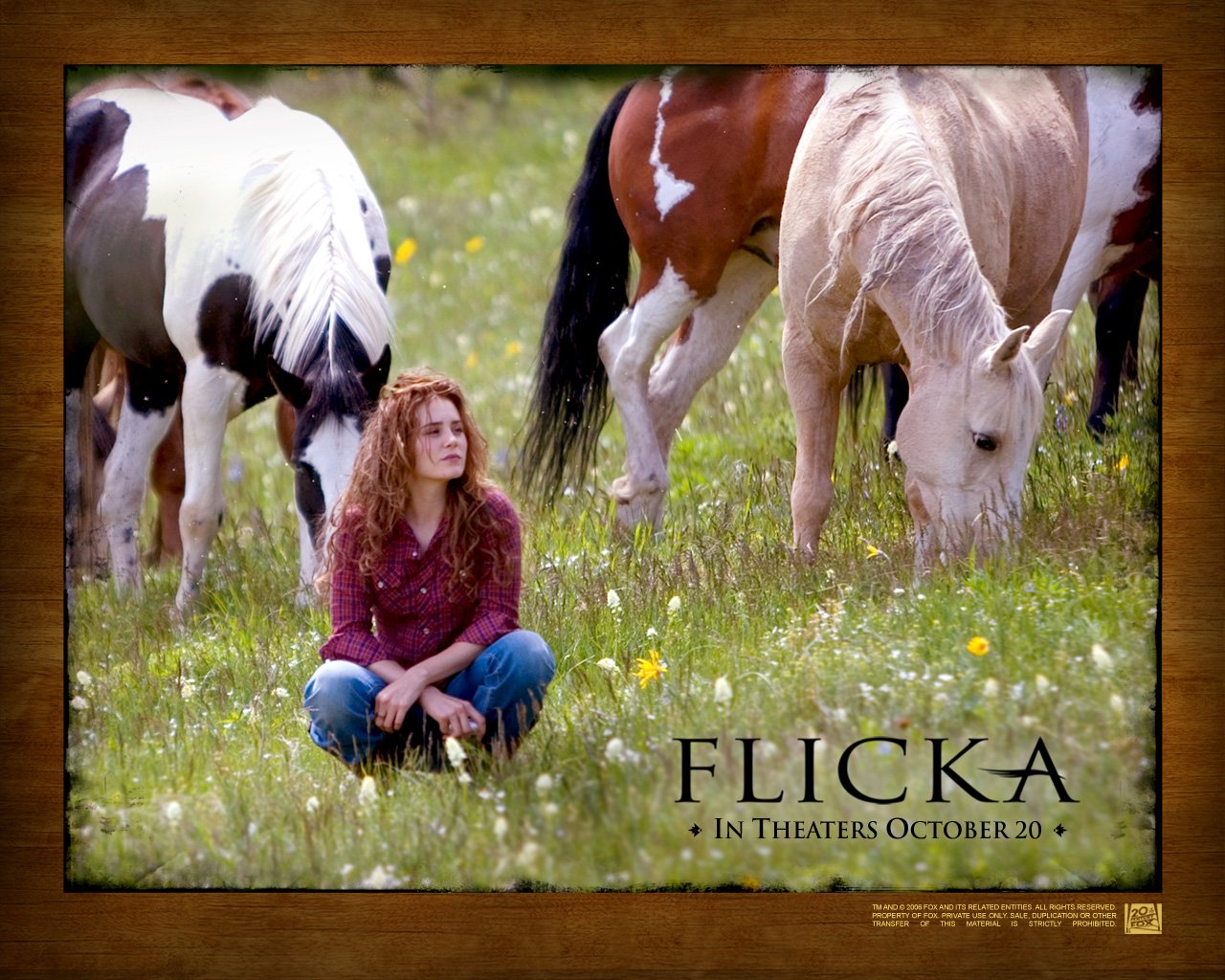 Flicka The Horse Wallpaper