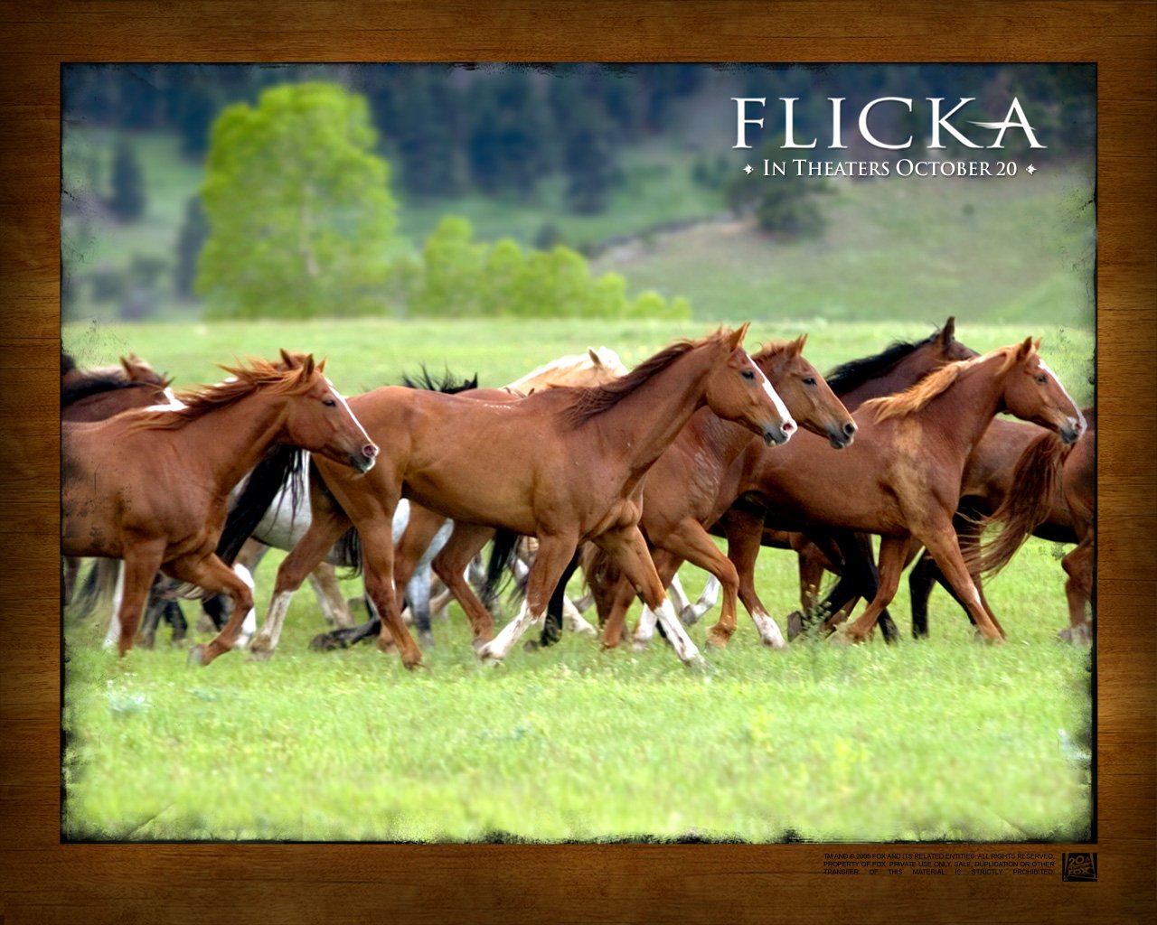 Flicka Wallpapers - Wallpaper Cave