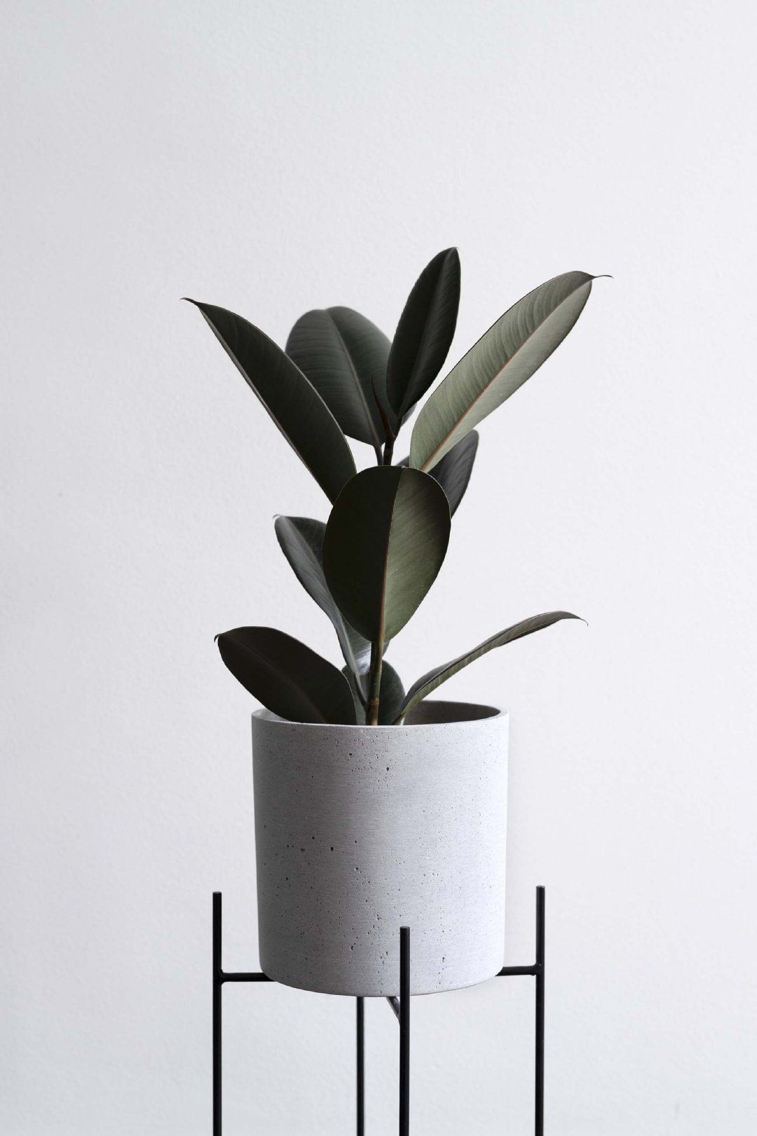 Planter Wallpapers - Wallpaper Cave