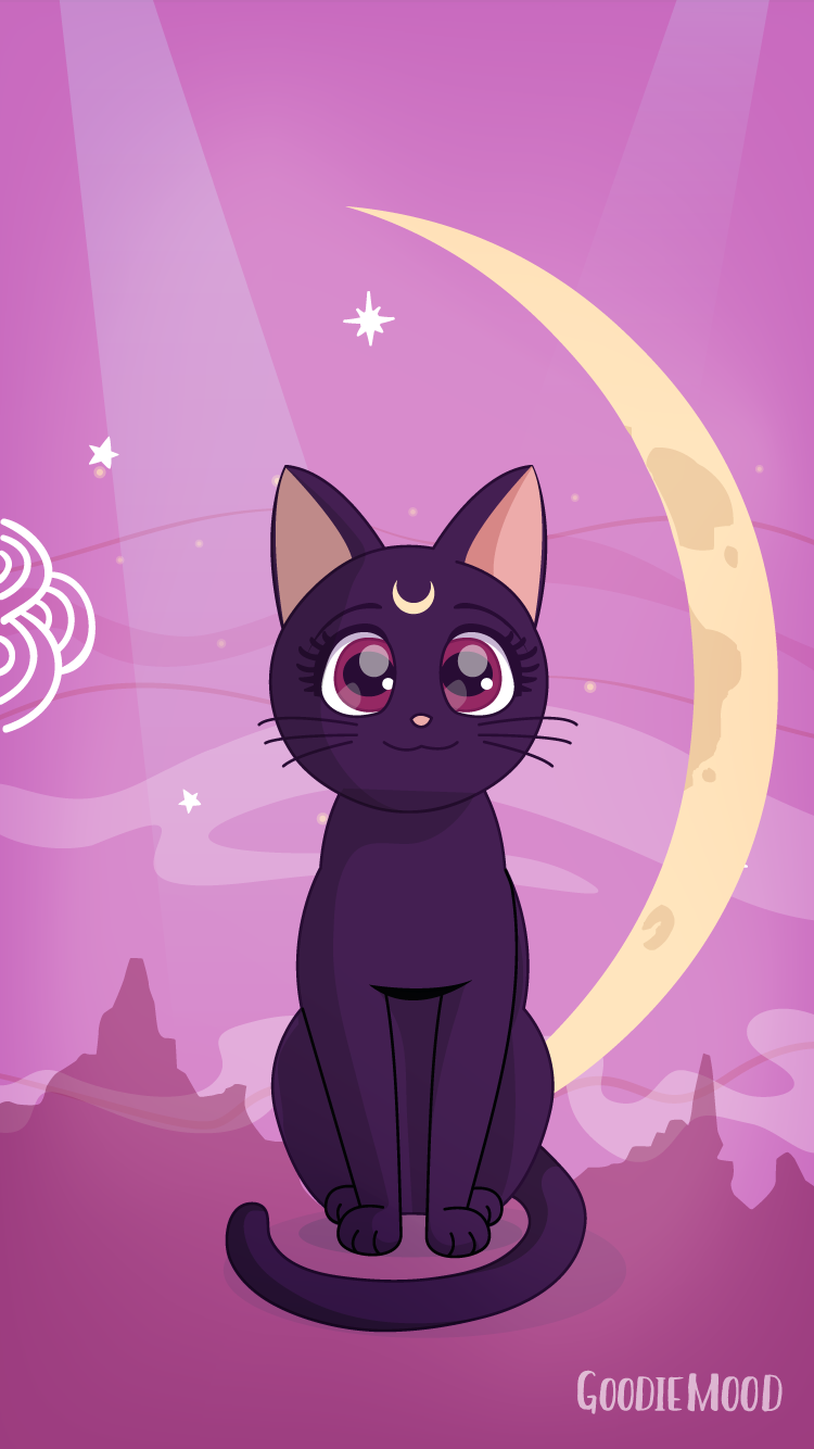 Luna Cat Wallpapers - Wallpaper Cave