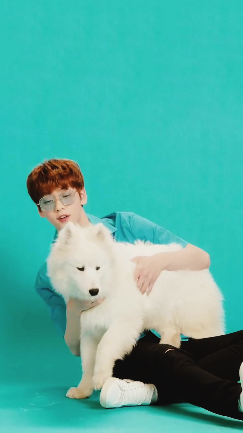 Cat And Dog TXT Wallpapers - Wallpaper Cave