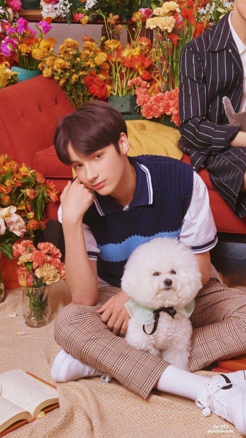 Cat And Dog TXT Wallpapers - Wallpaper Cave