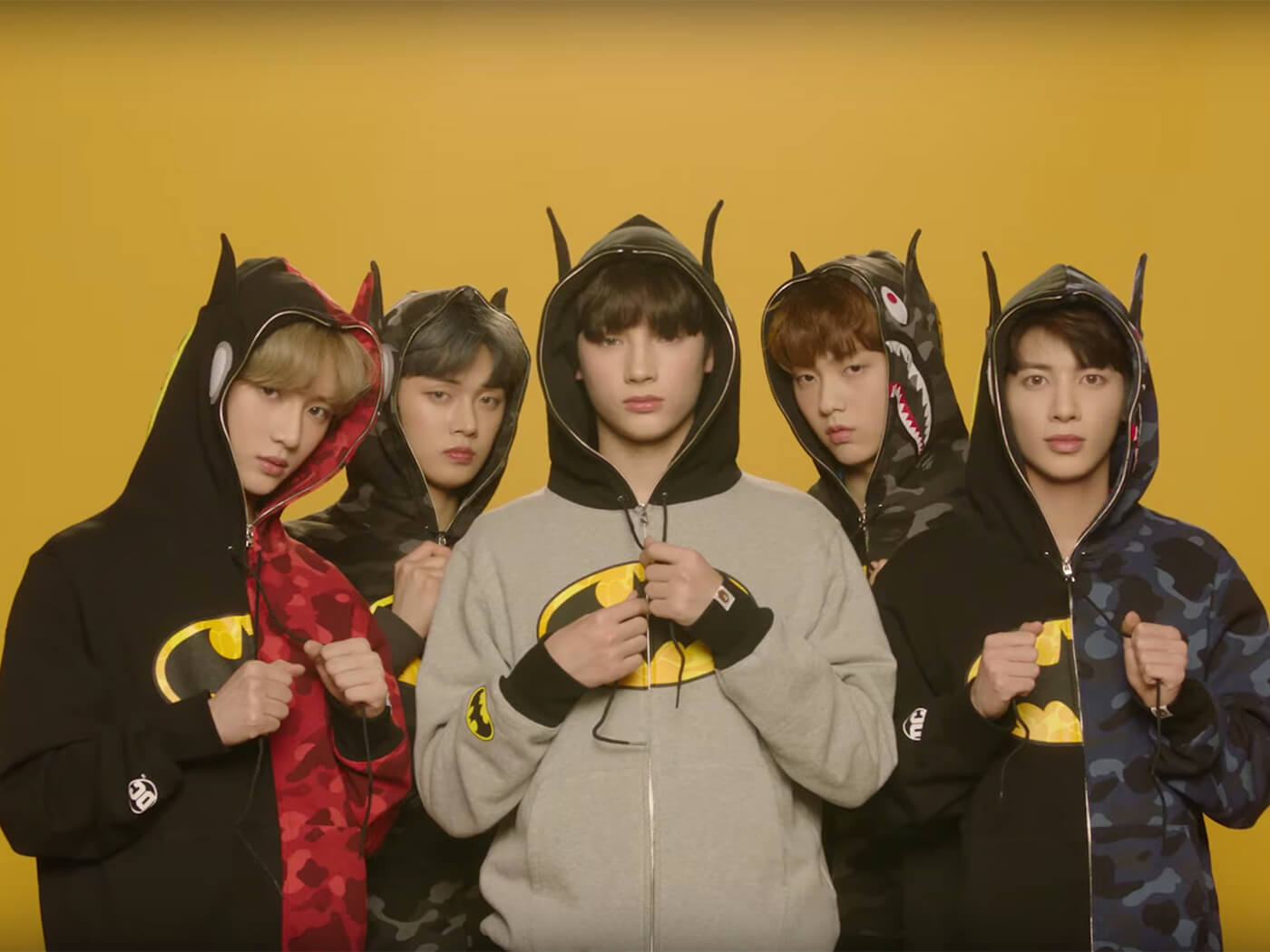 Cat And Dog TXT Wallpapers - Wallpaper Cave