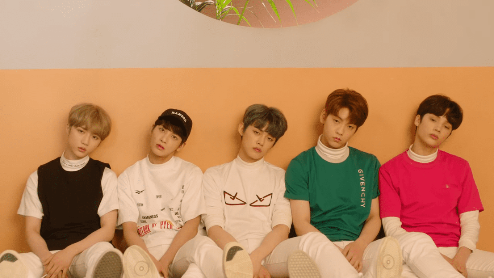 Cat And Dog TXT Wallpapers - Wallpaper Cave