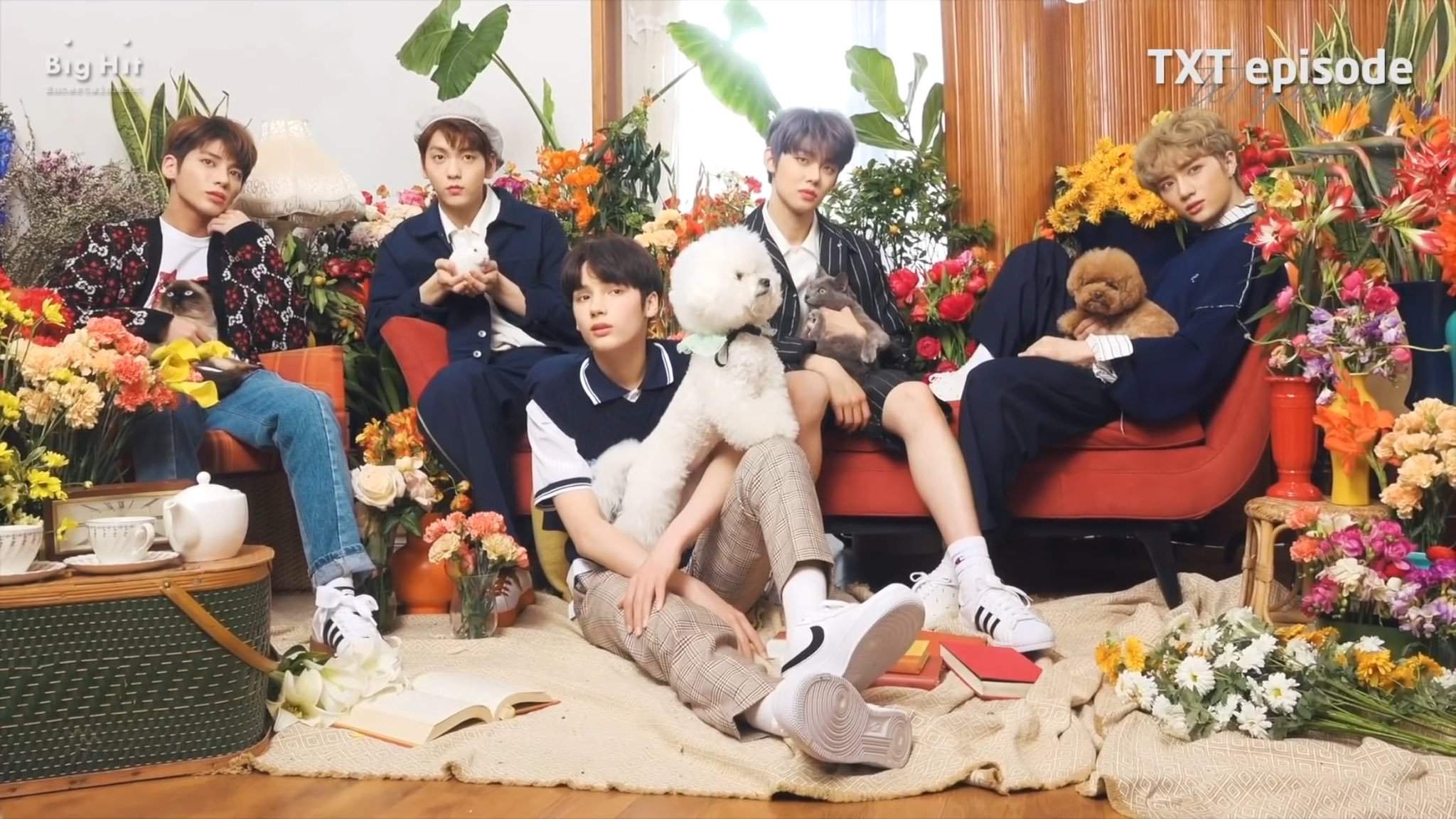 Cat And Dog TXT Wallpapers - Wallpaper Cave