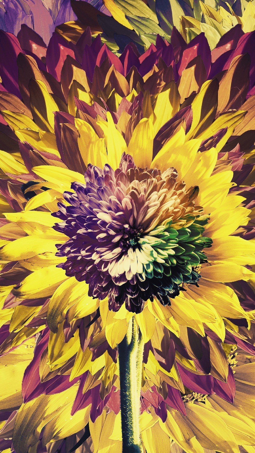 Sunflower Art Wallpapers - Wallpaper Cave