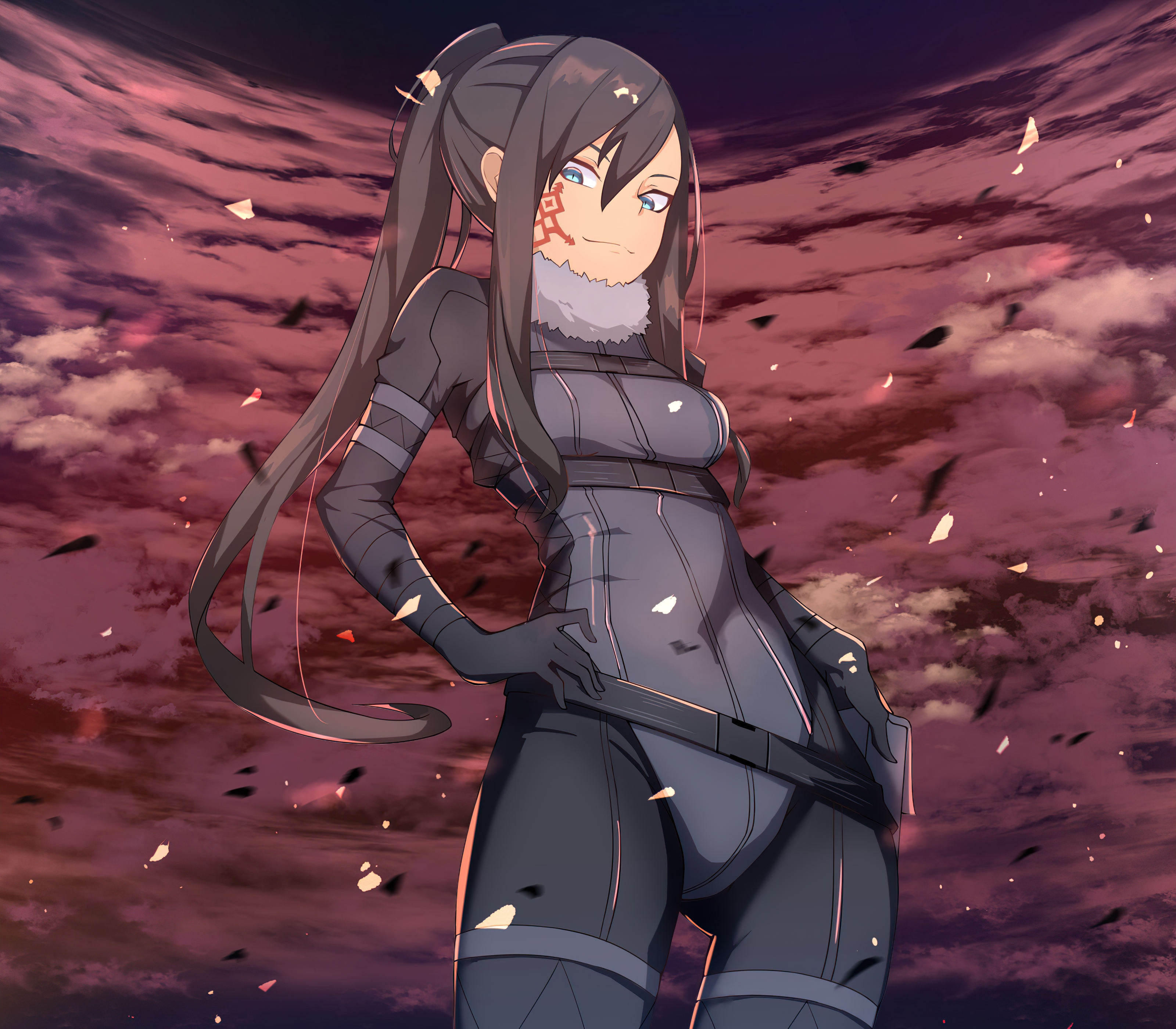 Pitohui Wallpapers - Wallpaper Cave