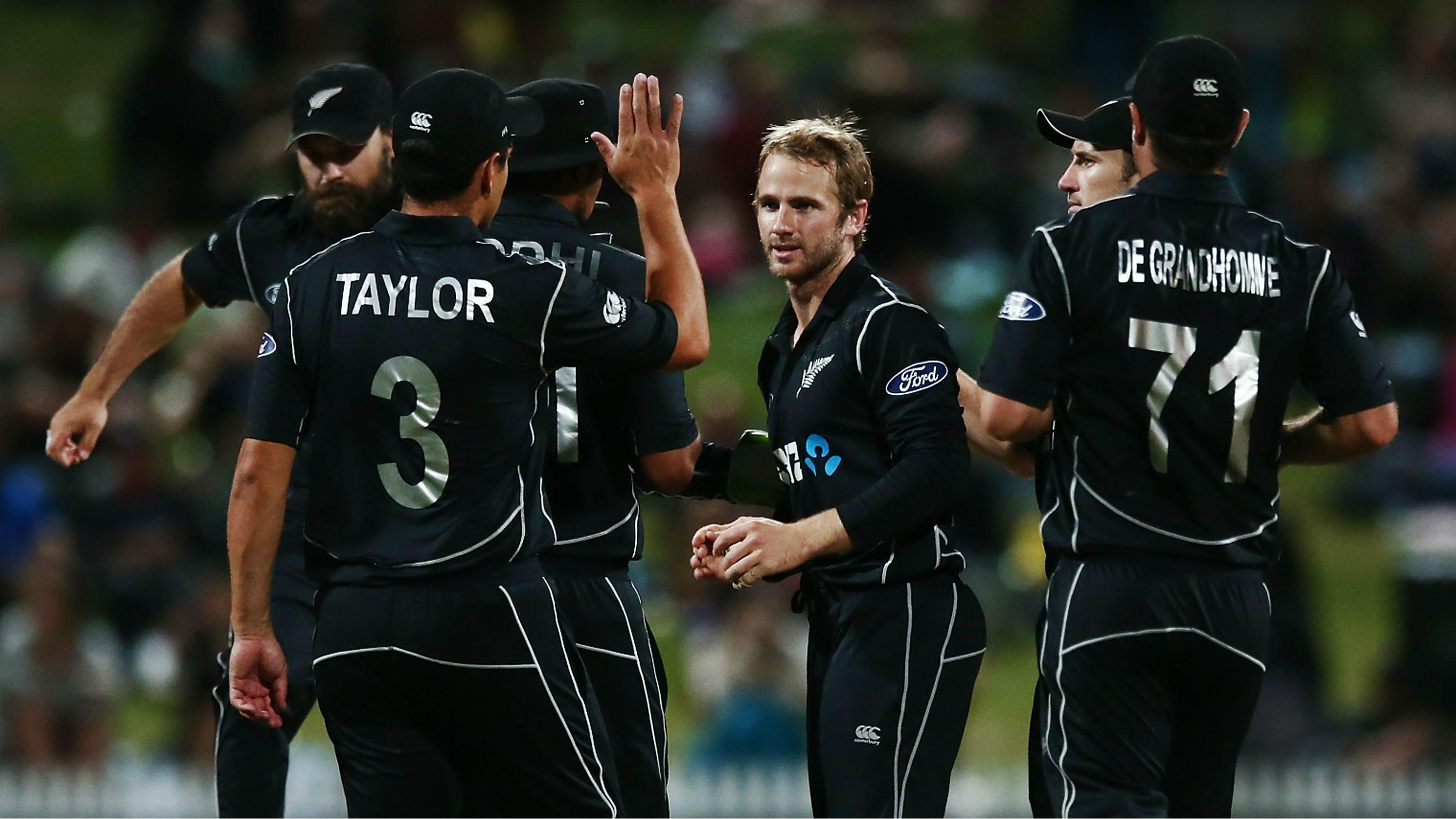 Blackcaps Wallpapers - Wallpaper Cave