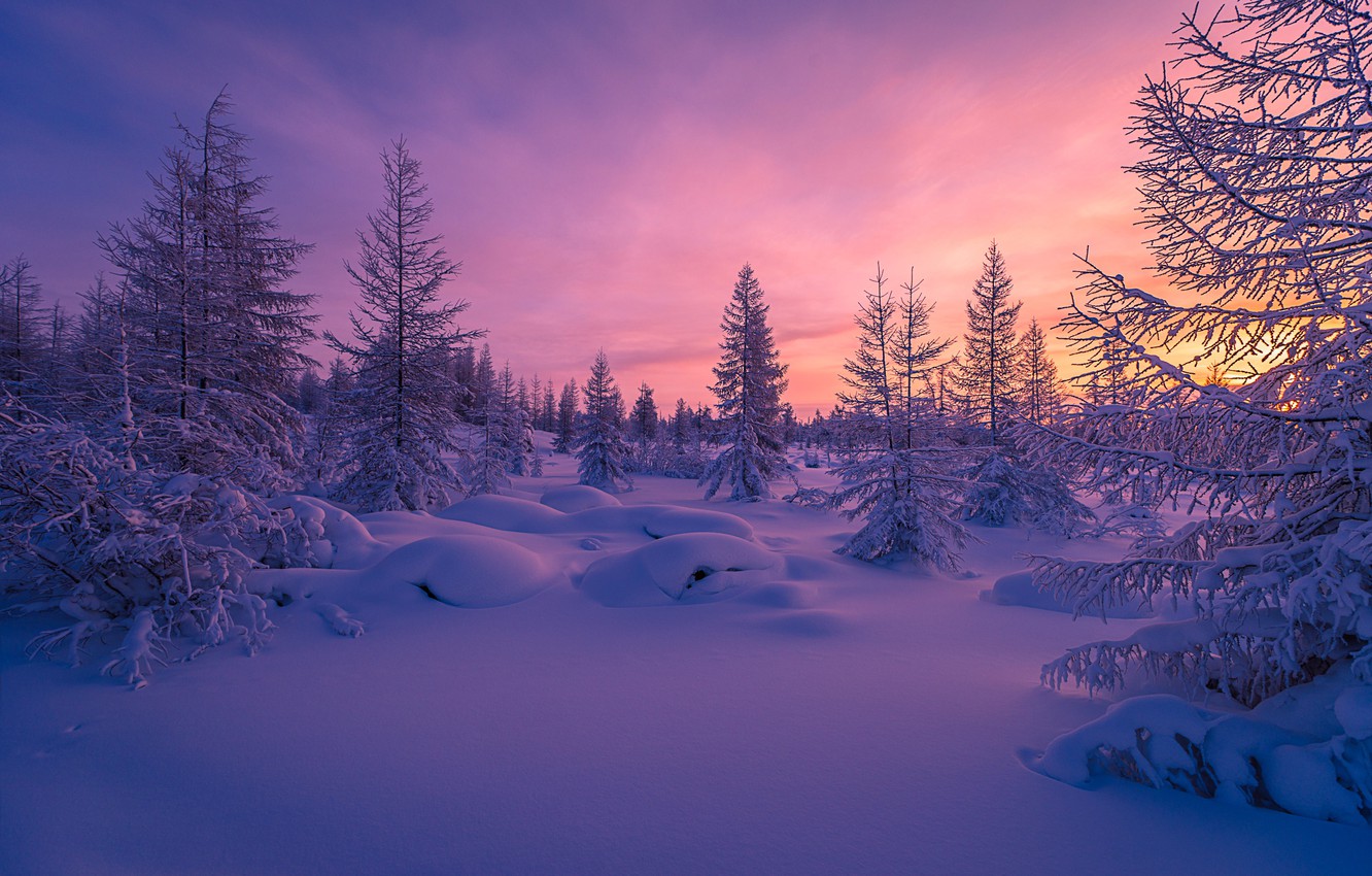 Winter Tree Sunsets Wallpapers - Wallpaper Cave