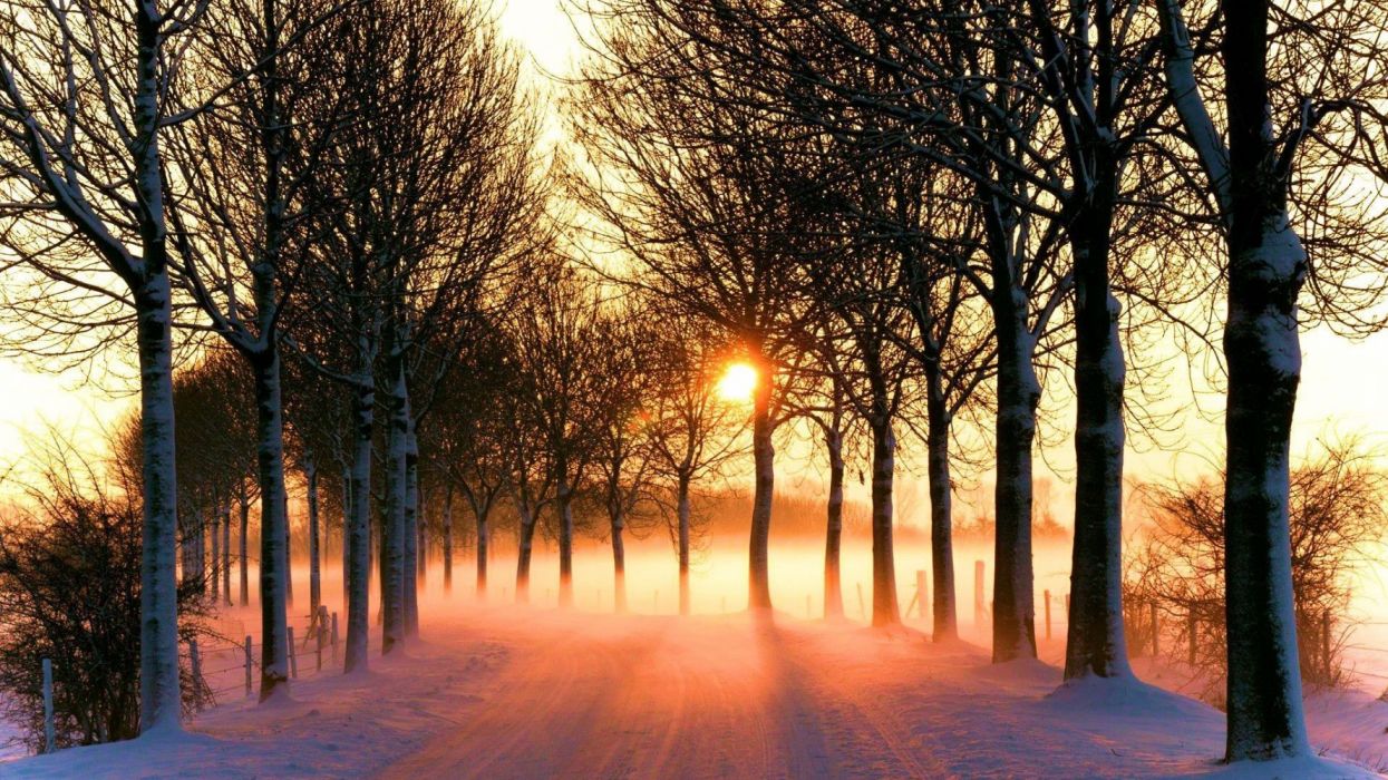 Winter Tree Sunsets Wallpapers - Wallpaper Cave