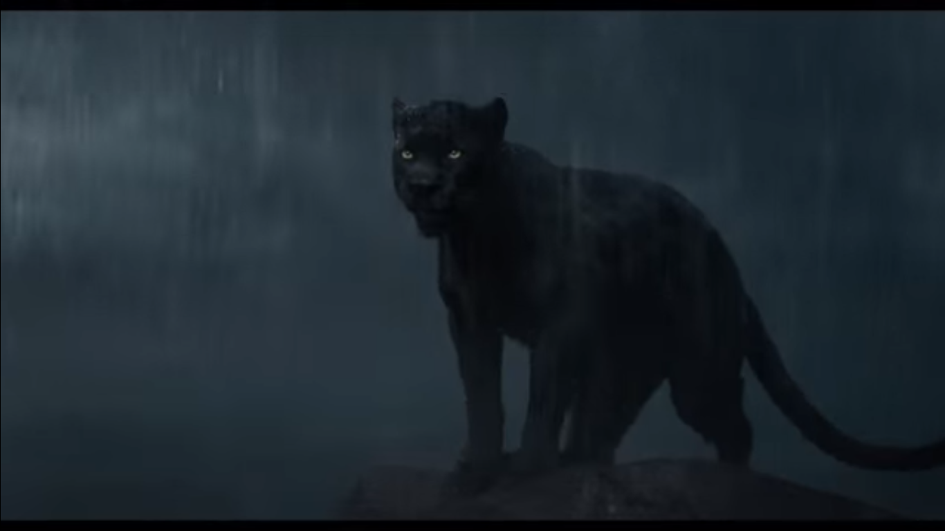 Bagheera Wallpapers - Wallpaper Cave