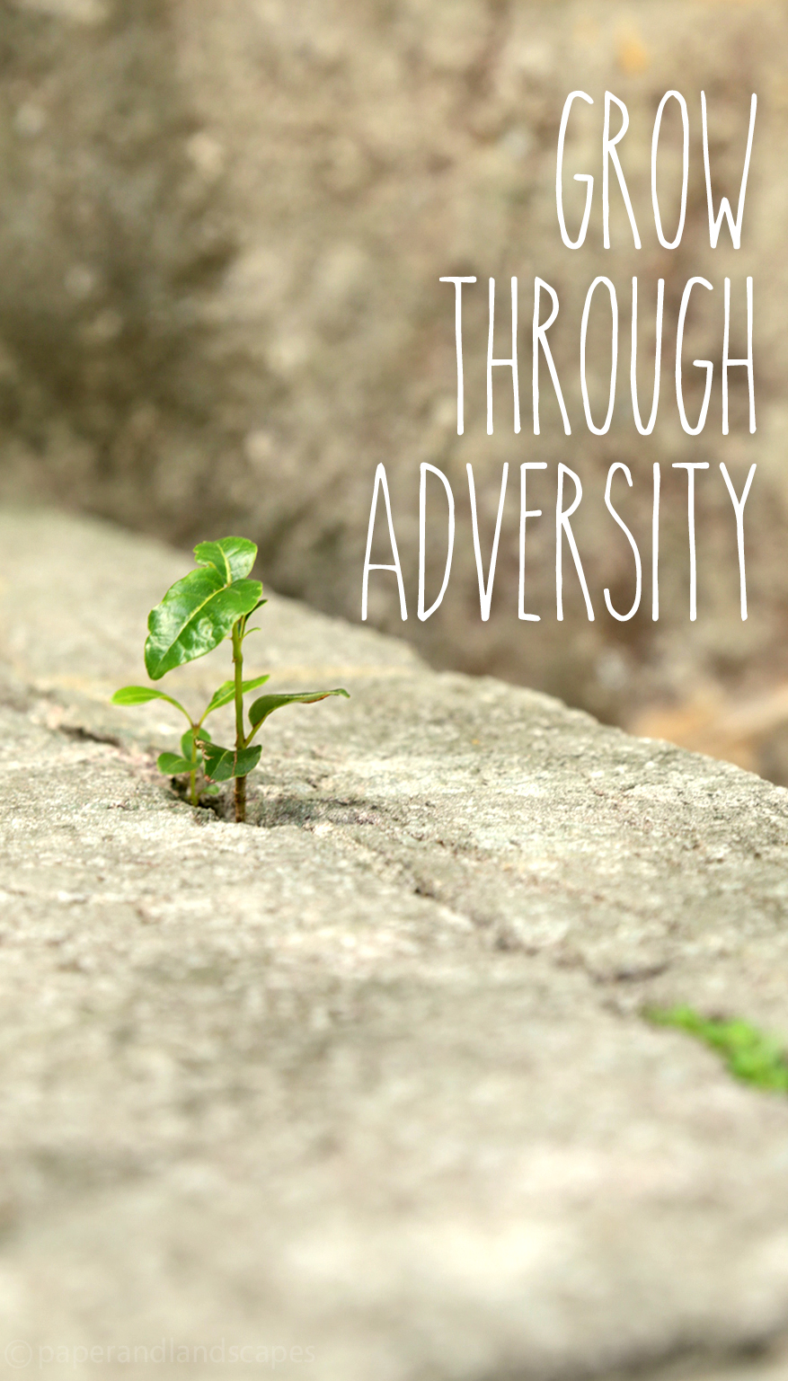 Adversity Wallpapers - Wallpaper Cave