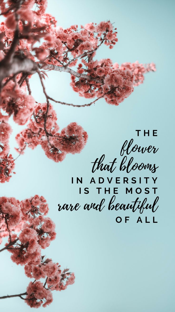 Adversity Wallpapers - Wallpaper Cave