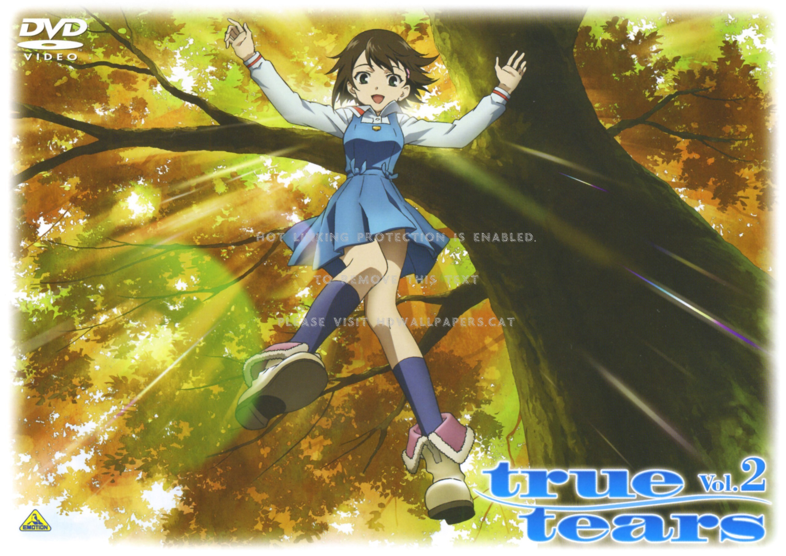 True Tears Wallpapers - Wallpaper Cave