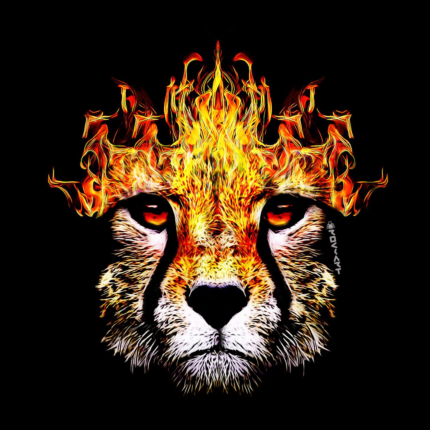Fire Cheetah Wallpapers - Wallpaper Cave