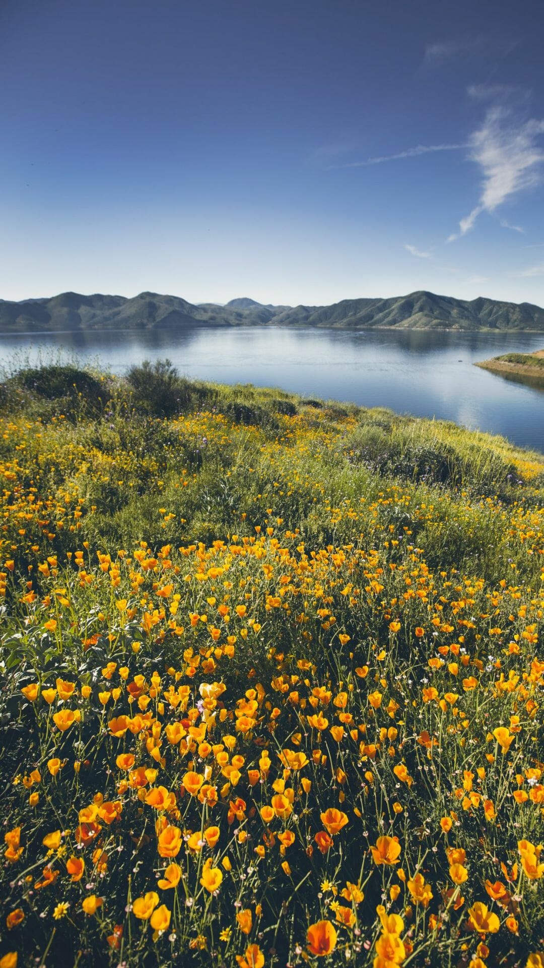 Springs 4k iPhone Wallpapers - Wallpaper Cave