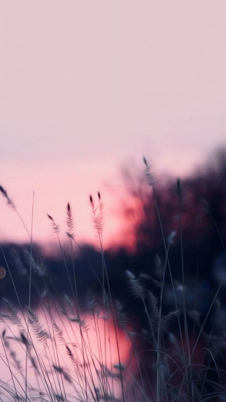 4k Tumblr iPhone Wallpapers - Wallpaper Cave