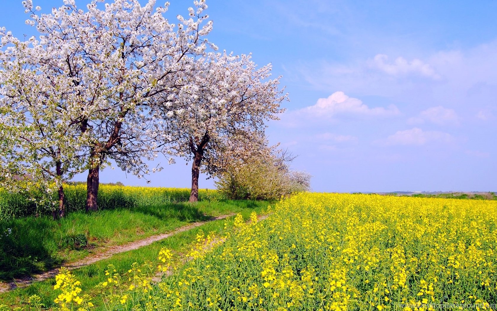 Spring Nature Sky Wallpapers - Wallpaper Cave