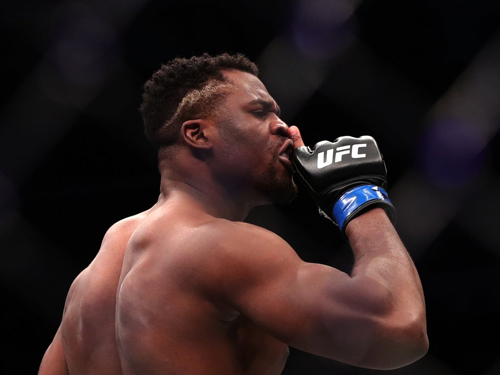 UFC 2022 Wallpapers - Wallpaper Cave
