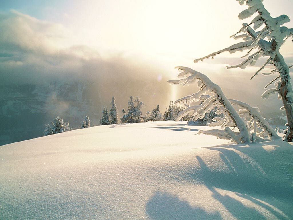 Gold Winter Wallpapers - Wallpaper Cave