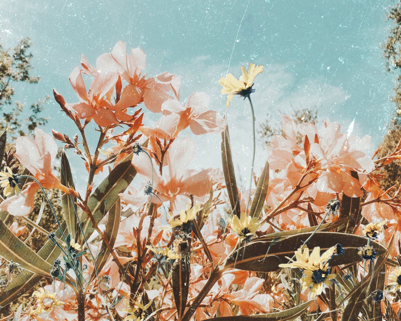 Vintage Spring Aesthetic Wallpapers - Wallpaper Cave