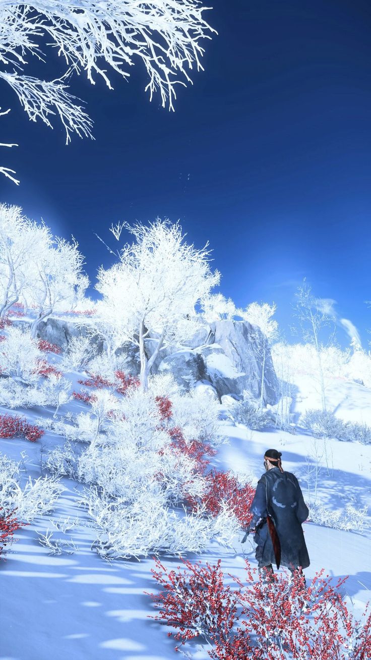 Samurai Winter Wallpapers - Wallpaper Cave