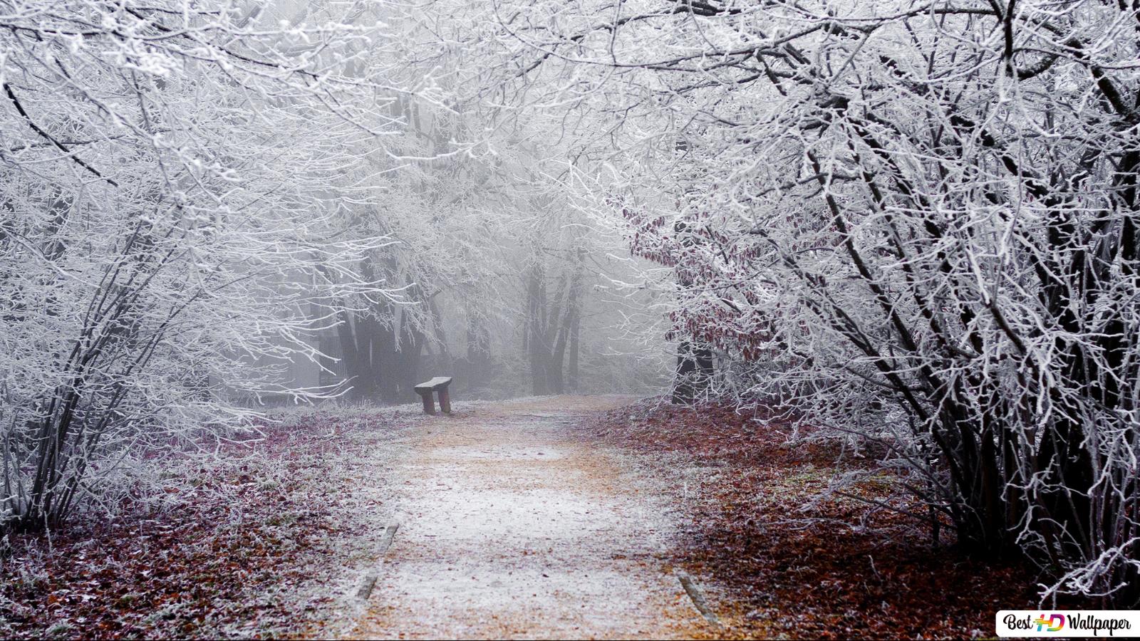 HD Winter View Wallpapers - Wallpaper Cave