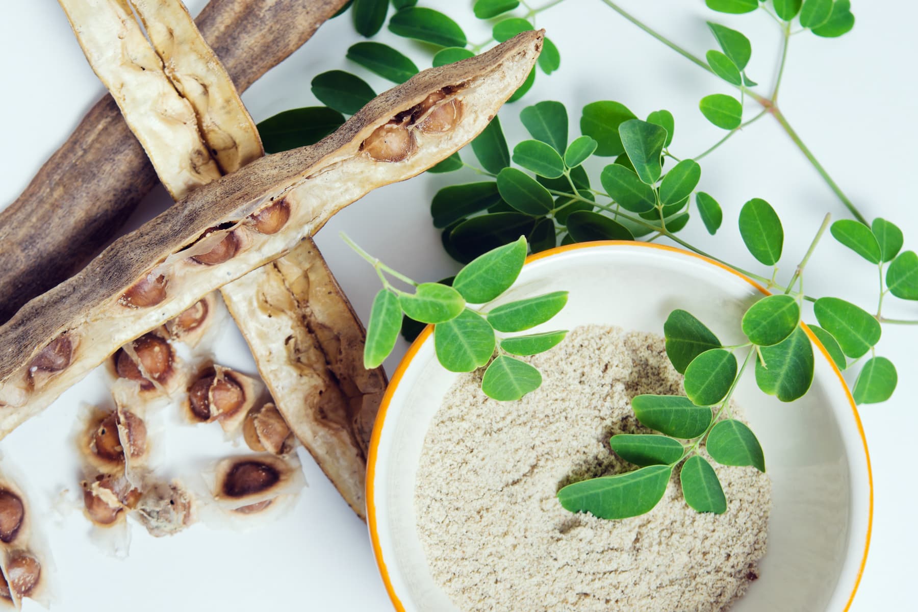 Moringa Wallpapers - Wallpaper Cave