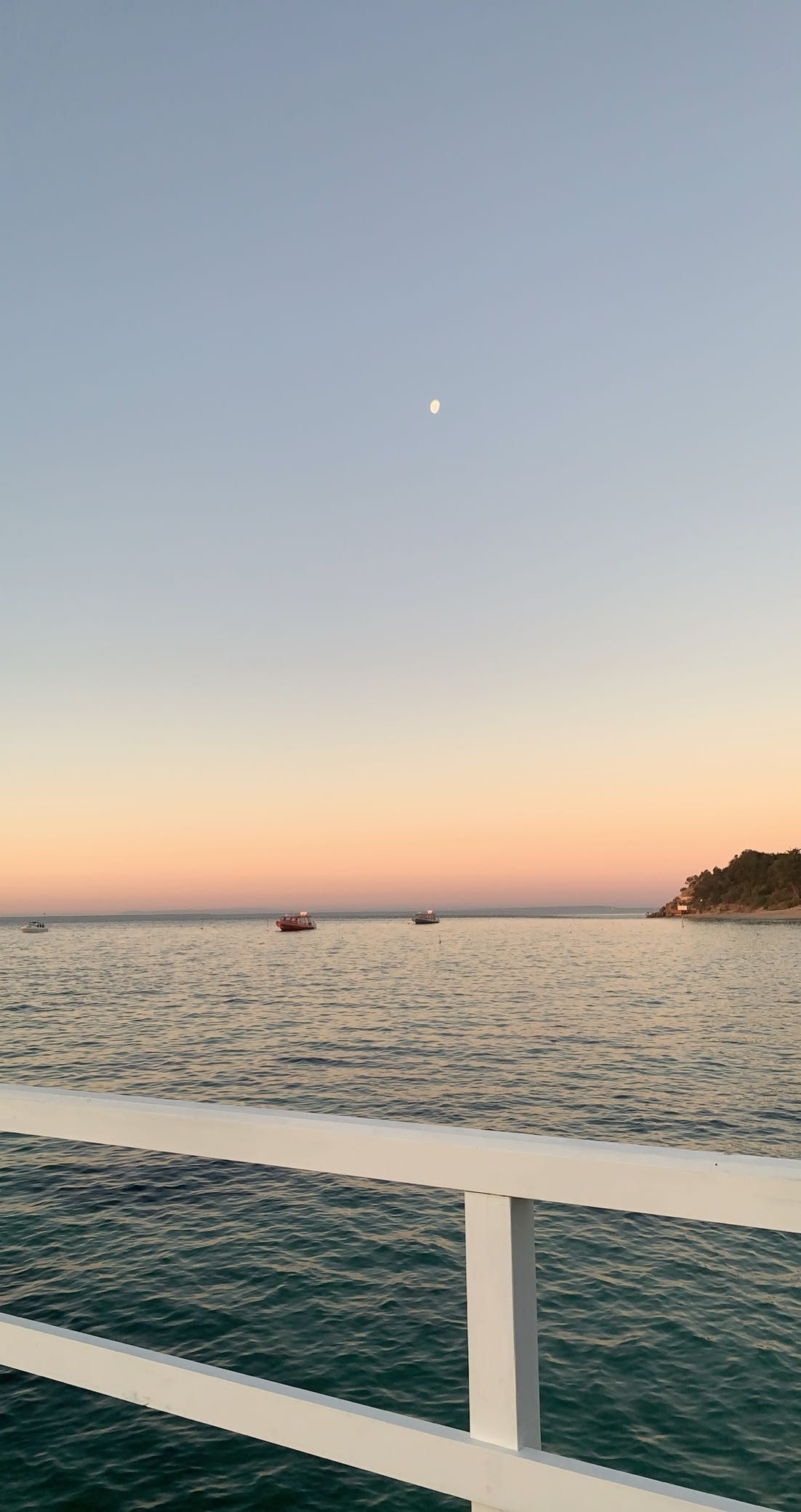 2022 Cute Summer Wallpapers - Wallpaper Cave