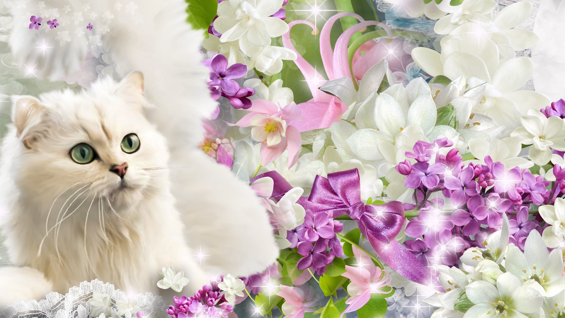 Spring Cats 1920x1080 Wallpapers - Wallpaper Cave