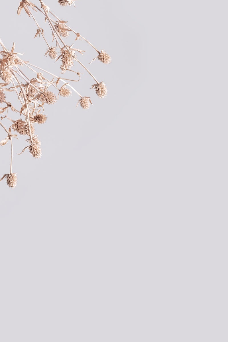 Dried Flower Wallpapers - Wallpaper Cave