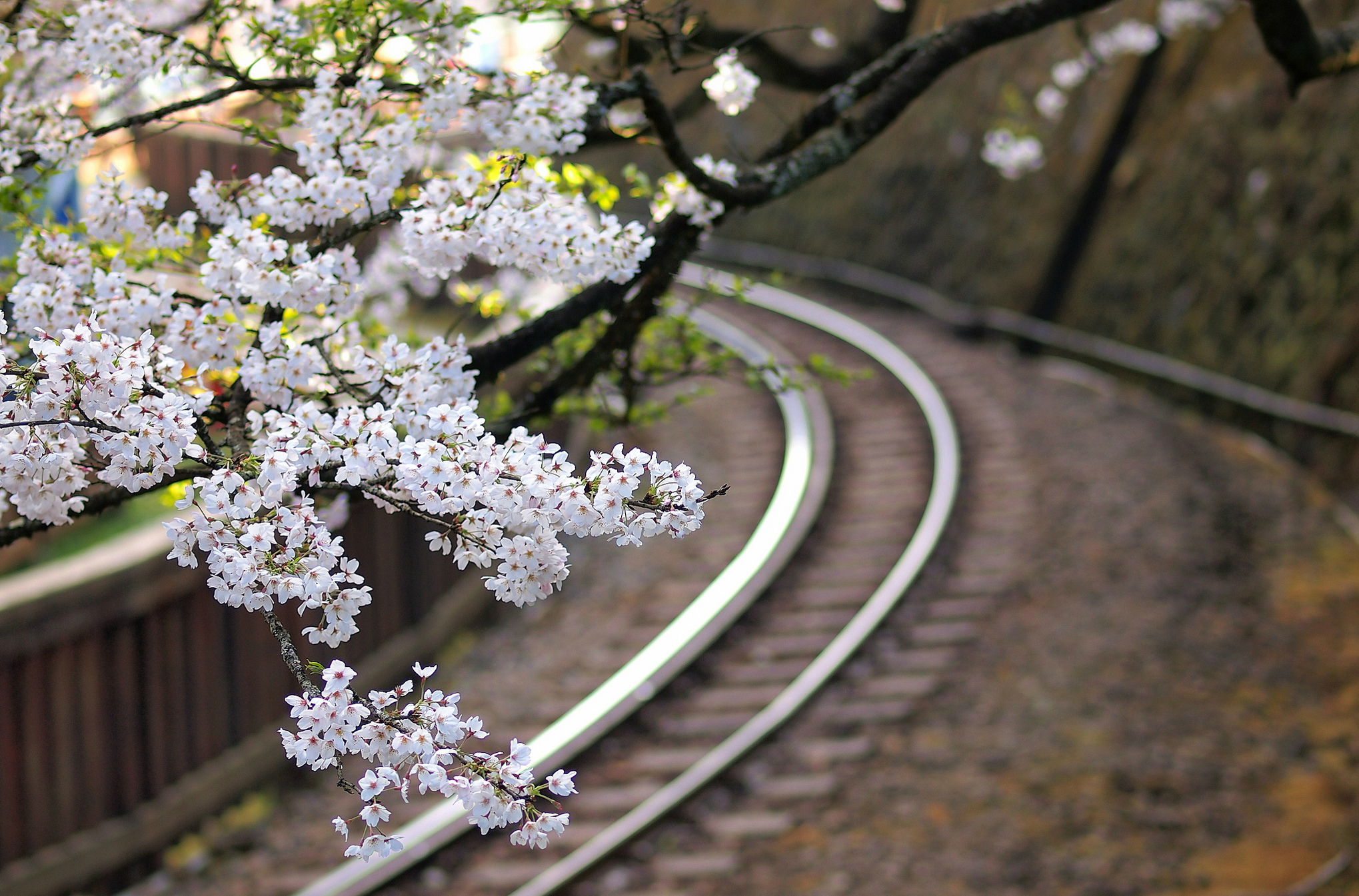 Spring Railroad Wallpapers - Wallpaper Cave