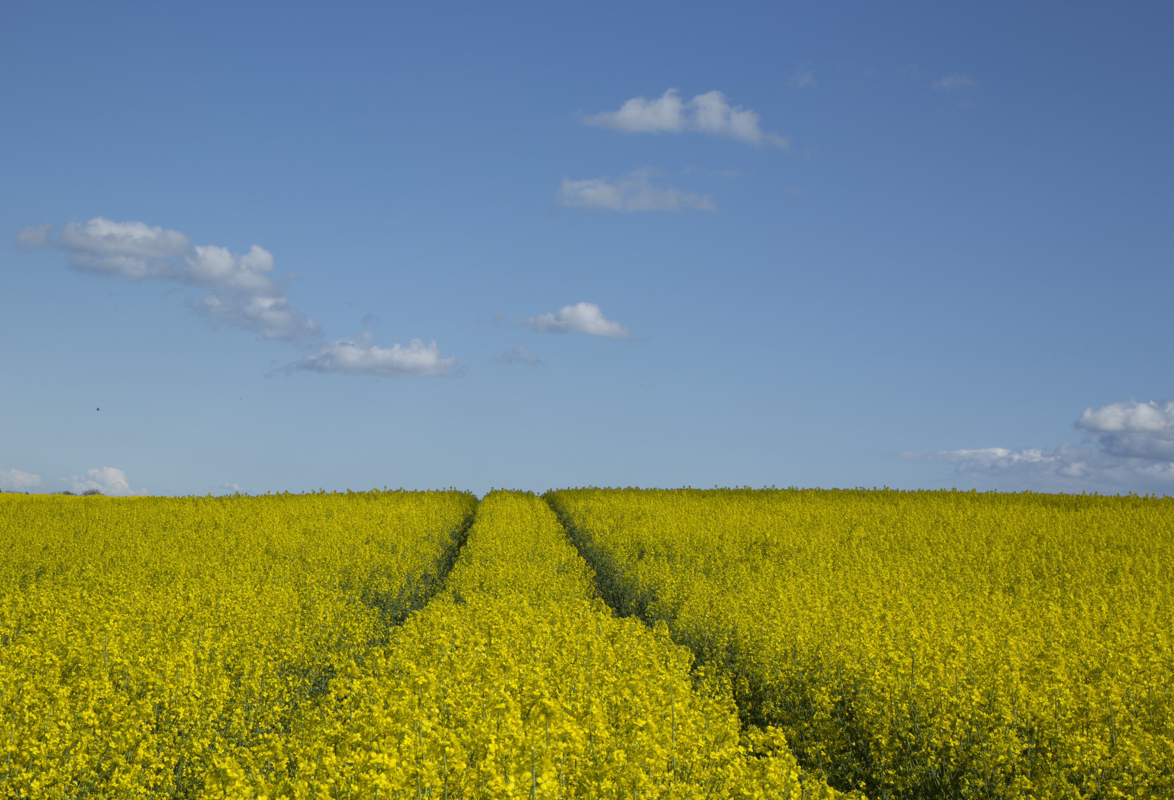 Organic Farming Wallpapers - Wallpaper Cave Organic Farming Wallpapers - Wallpaper Cave
