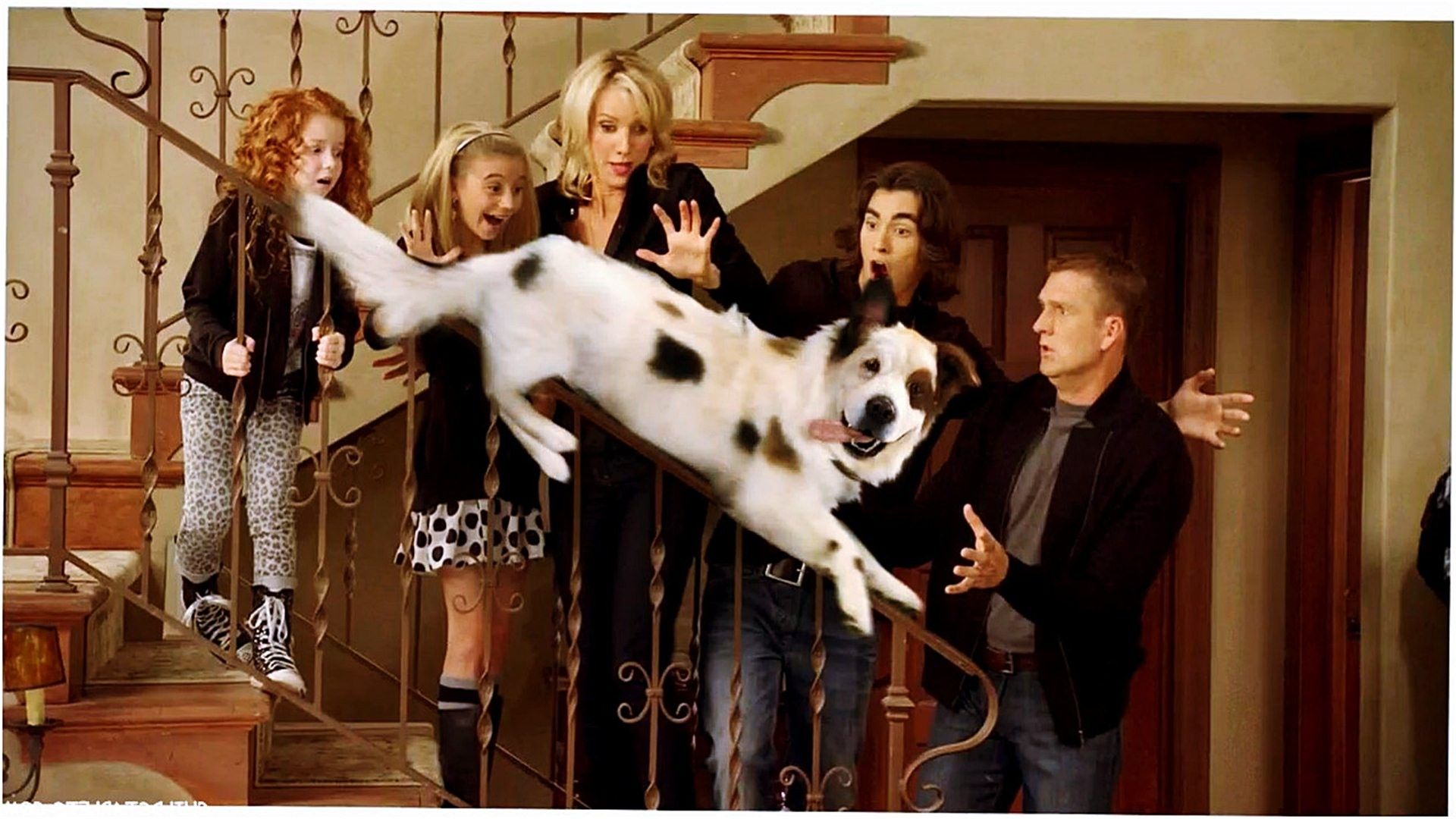 Dog With A Blog Wallpapers - Wallpaper Cave