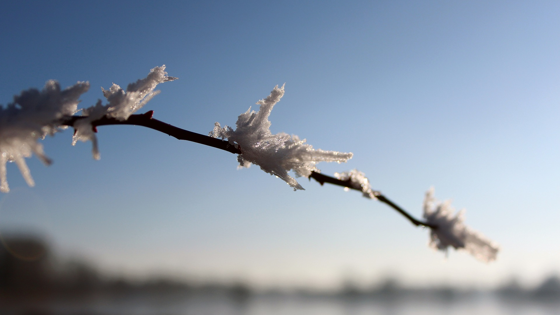 Winter Tree Branches Wallpapers - Wallpaper Cave