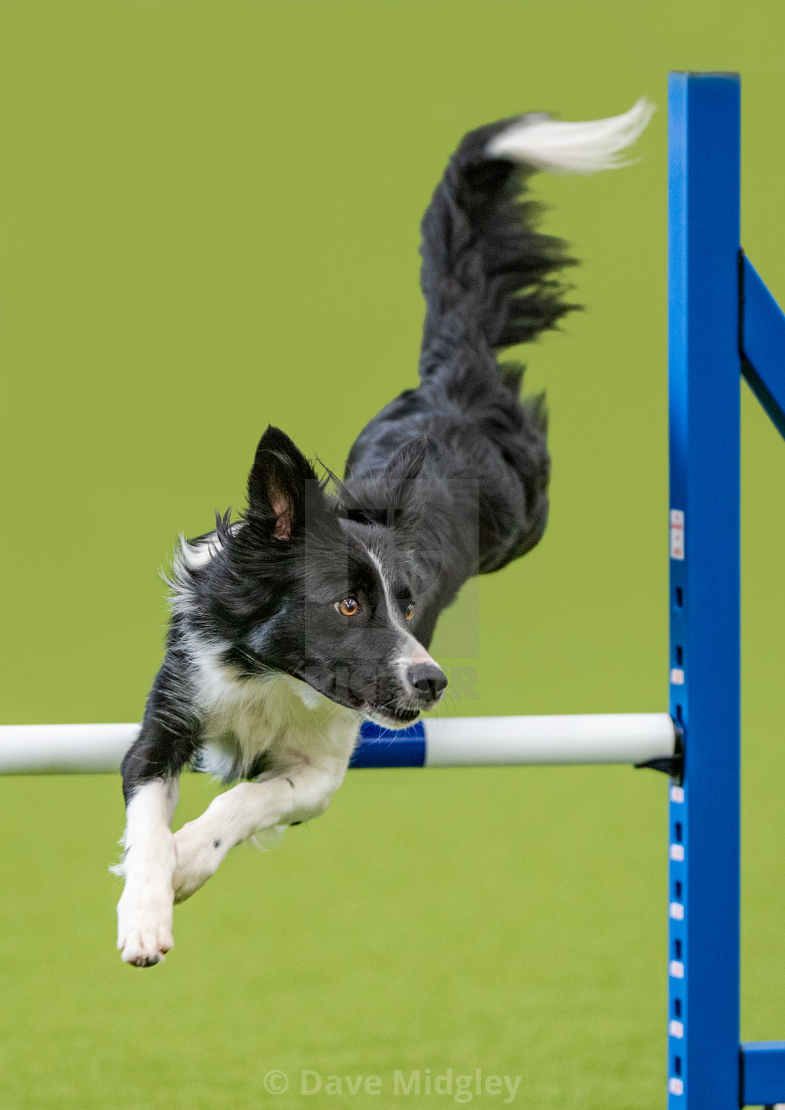 Agility Wallpapers - Wallpaper Cave