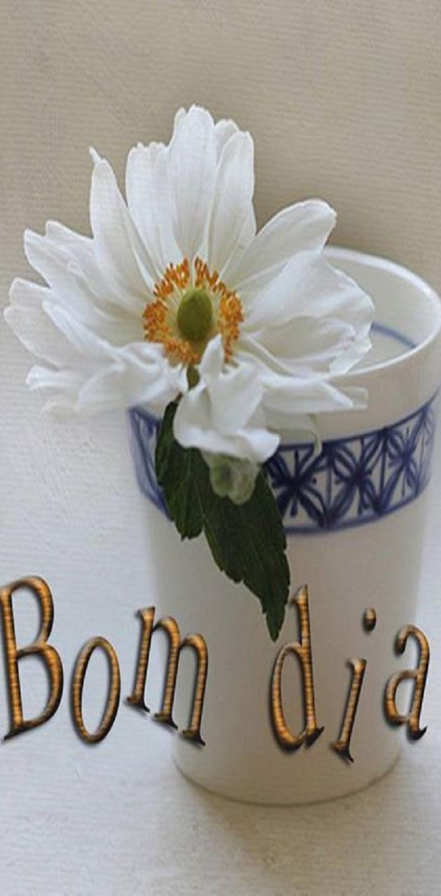 Bom Dia Wallpapers - Wallpaper Cave