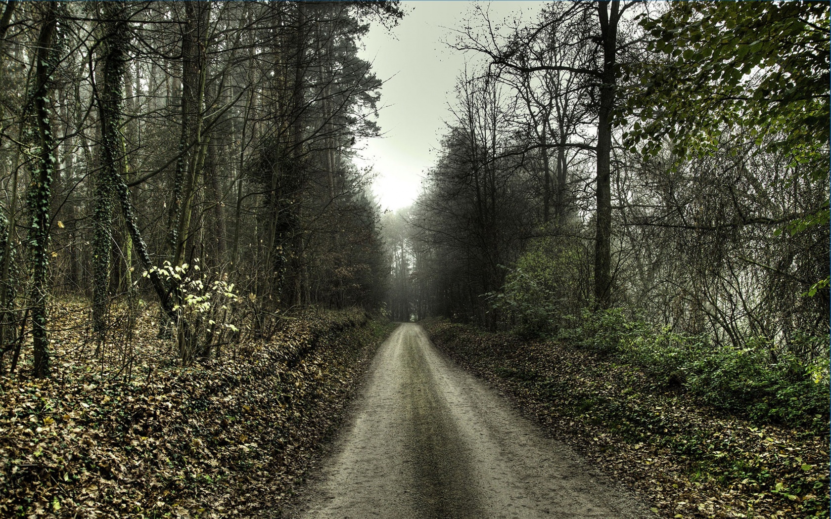 Scary Road Wallpapers - Wallpaper Cave