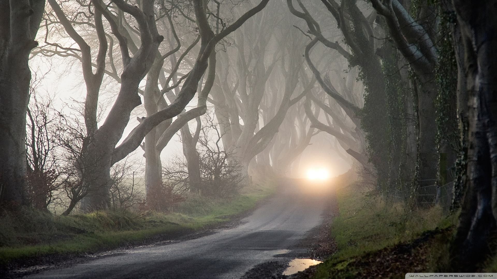 Scary Road Wallpapers - Wallpaper Cave