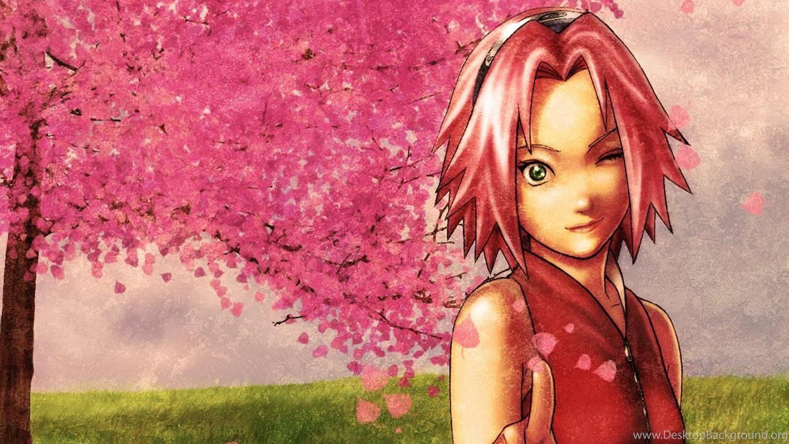 Anime Naruto Sakura PC Wallpapers - Wallpaper Cave