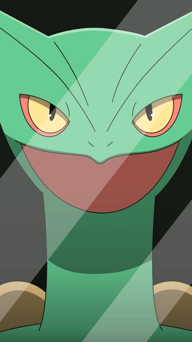Pokémon Sceptile Wallpapers - Wallpaper Cave