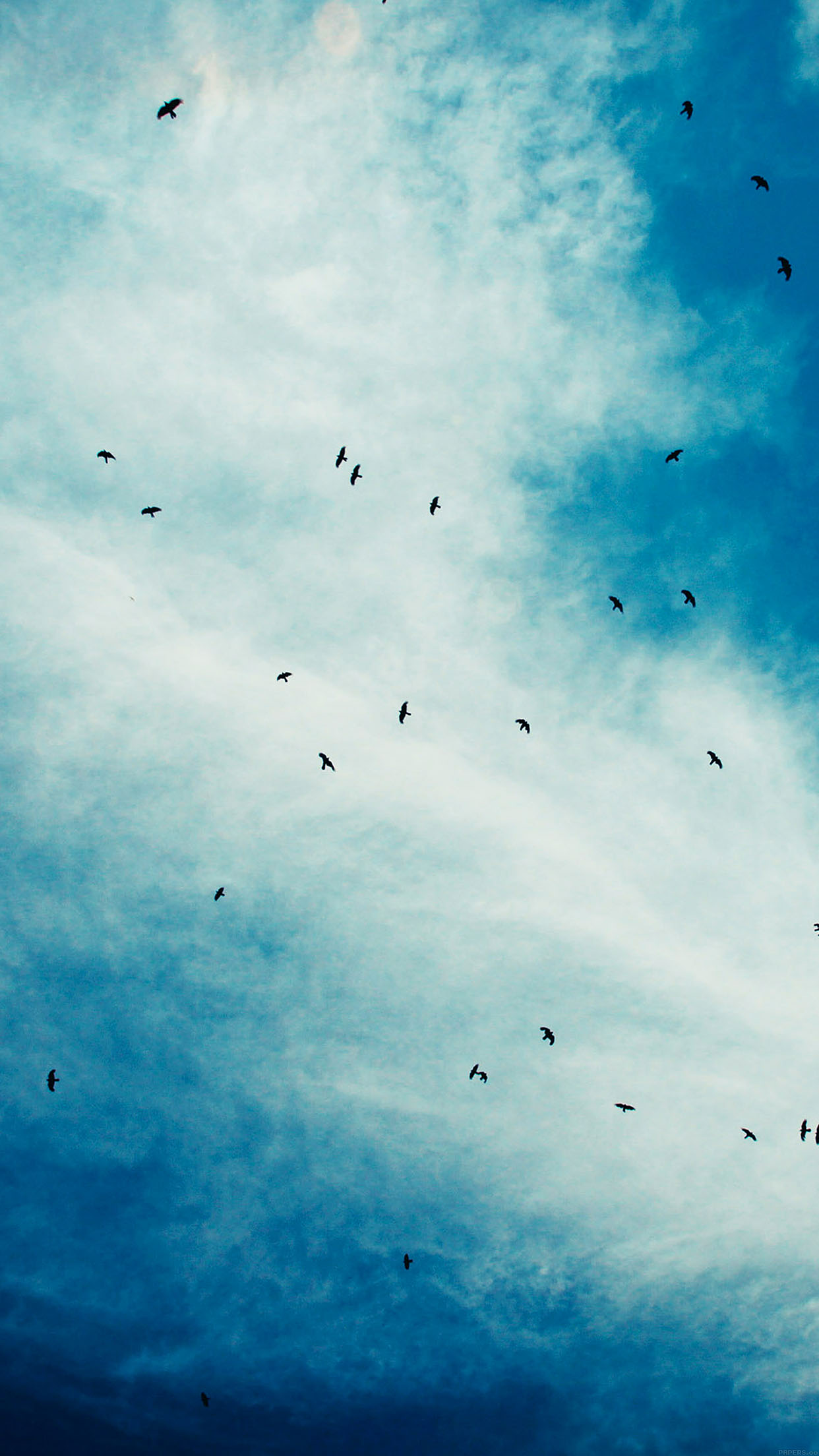 Birds In Sky Wallpapers - Wallpaper Cave
