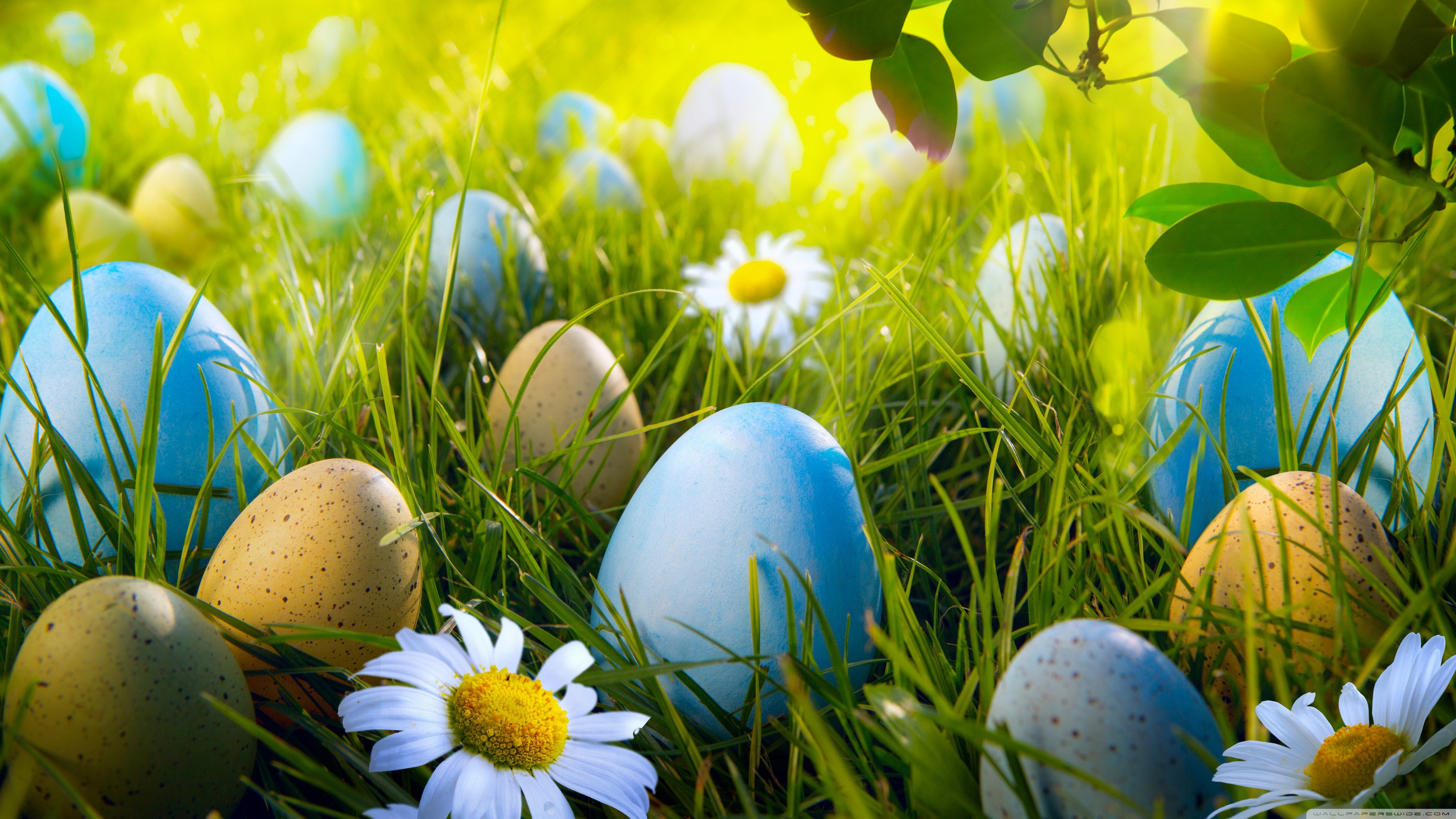 4k Easter Wallpapers Wallpaper Cave