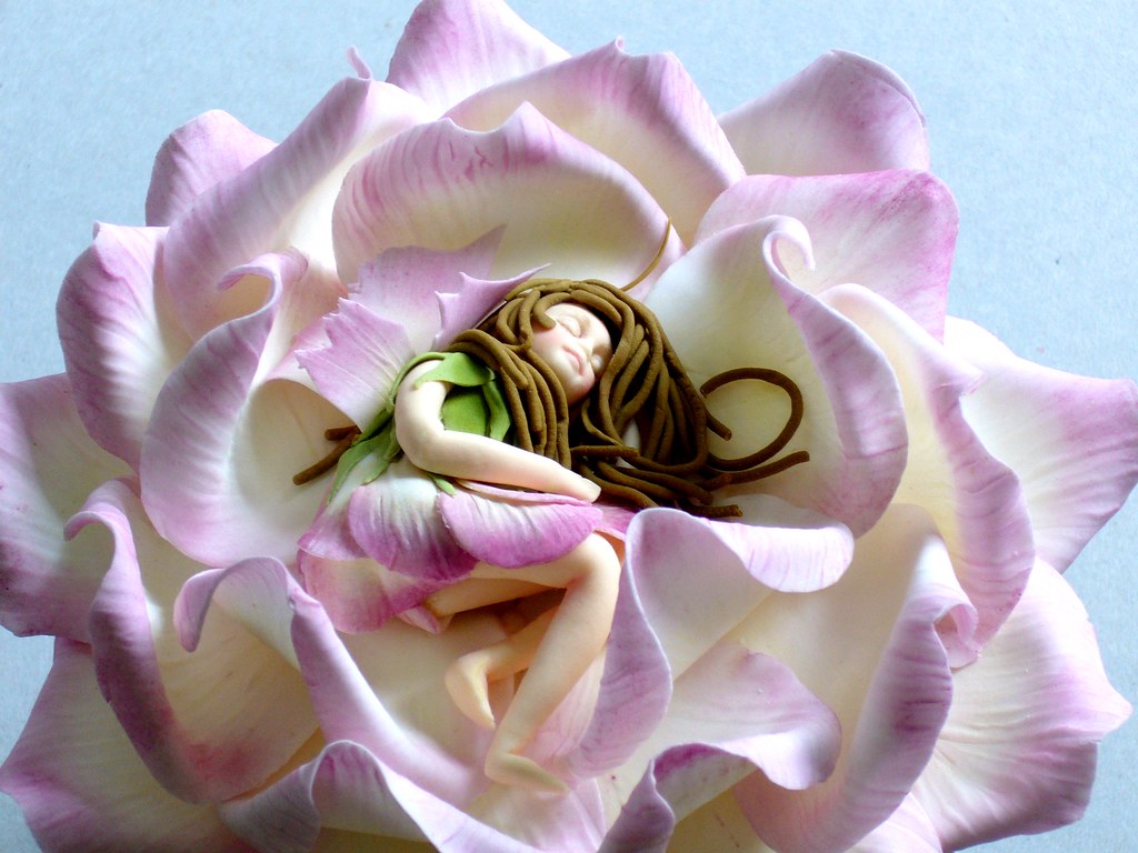 Rose Fairy Wallpapers - Wallpaper Cave