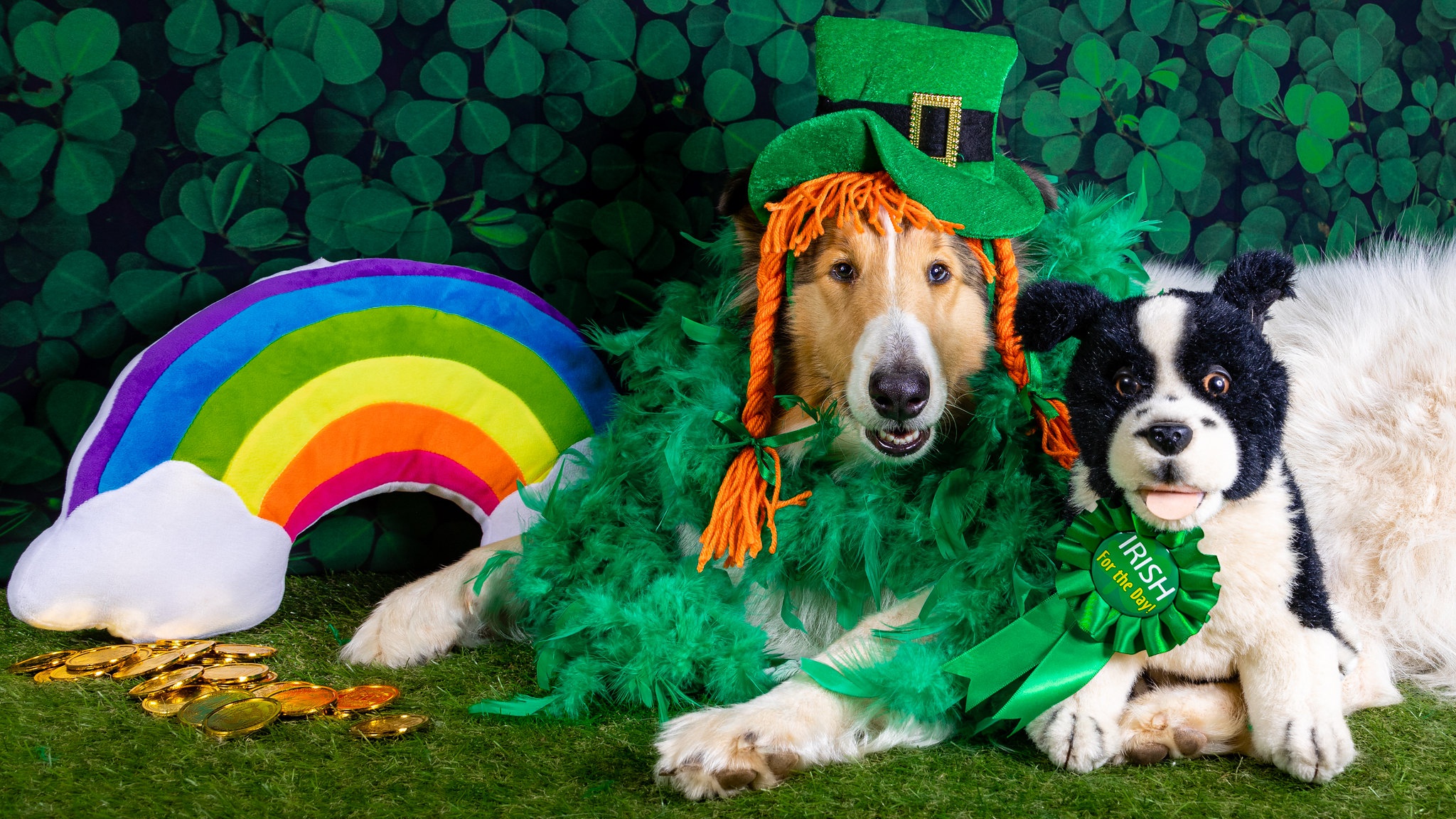 Animal St Patrick's Day Wallpapers - Wallpaper Cave
