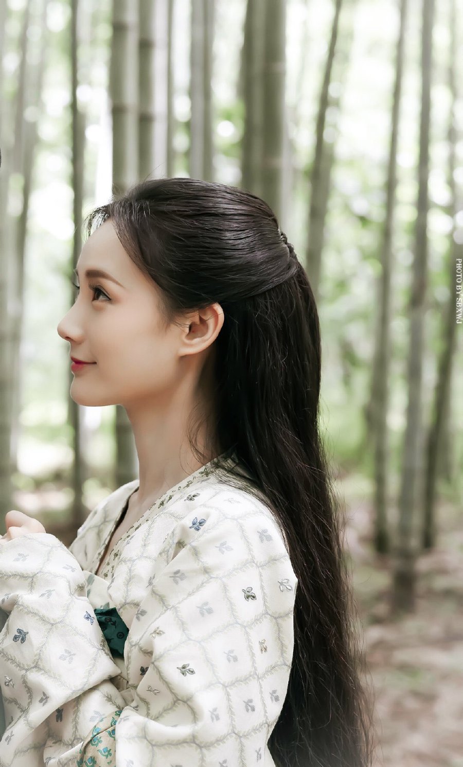 Court Lady Wallpapers - Wallpaper Cave