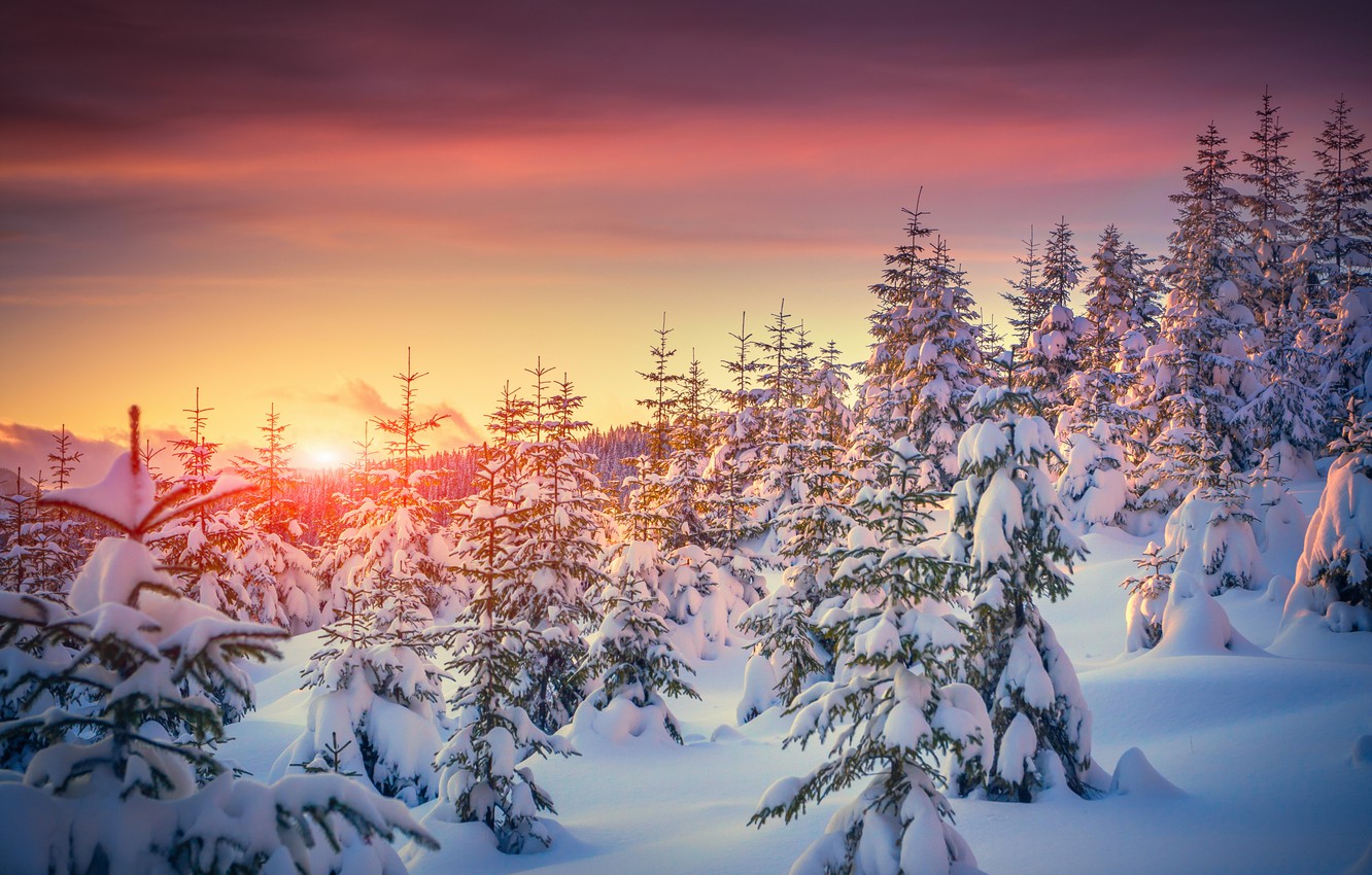 Winter Tree Sunset Wallpapers - Wallpaper Cave