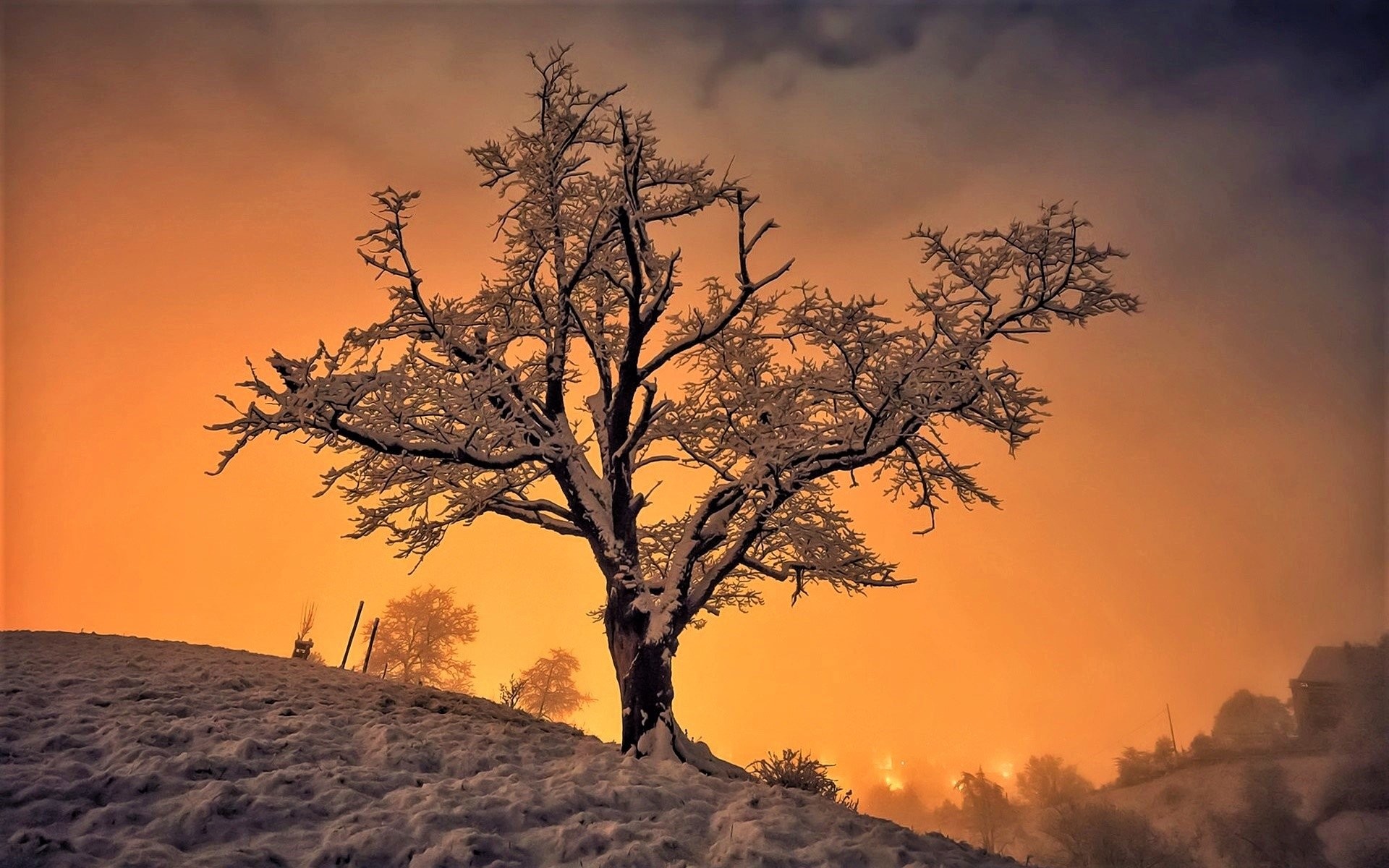 Winter Tree Sunset Wallpapers - Wallpaper Cave